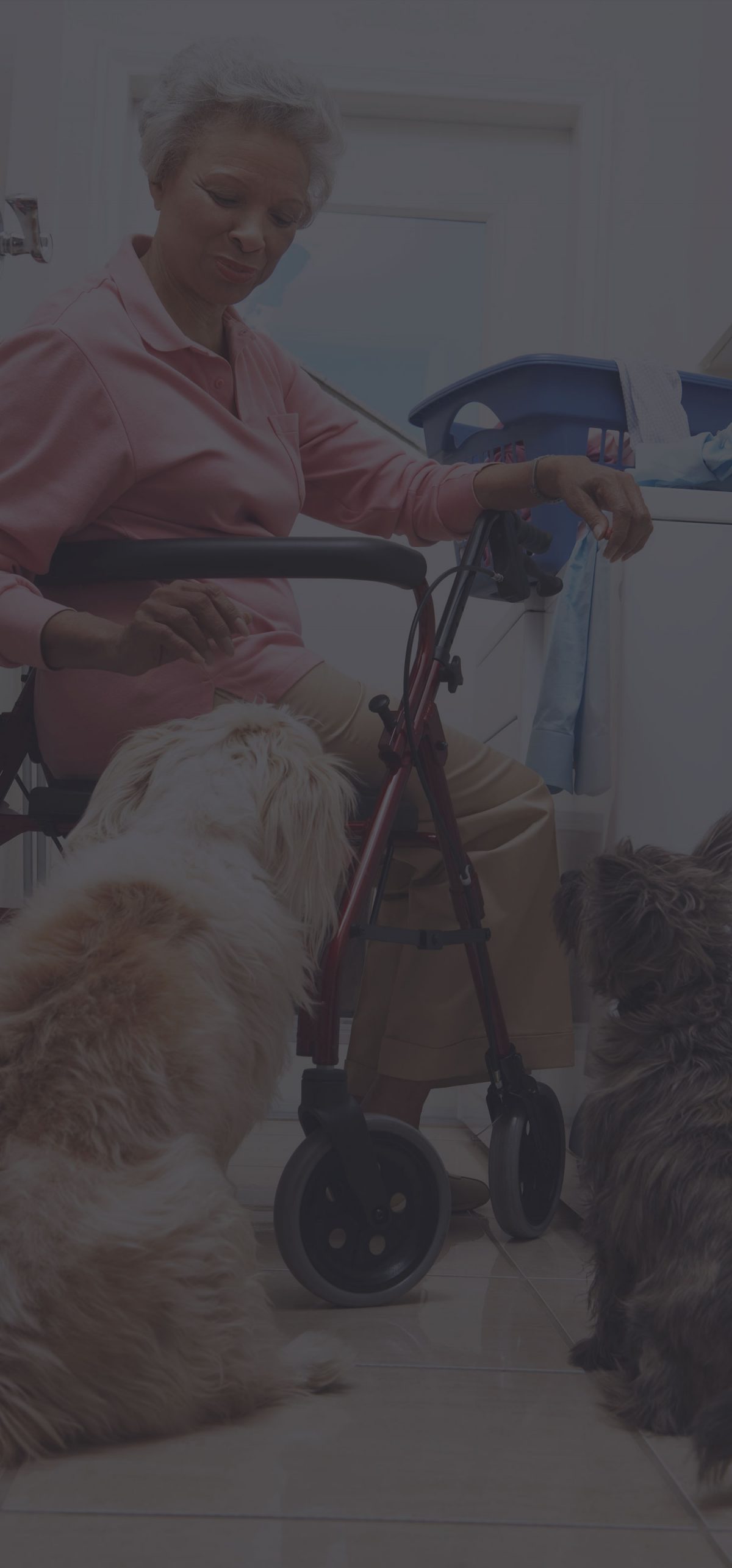 Fair Housing Partnership